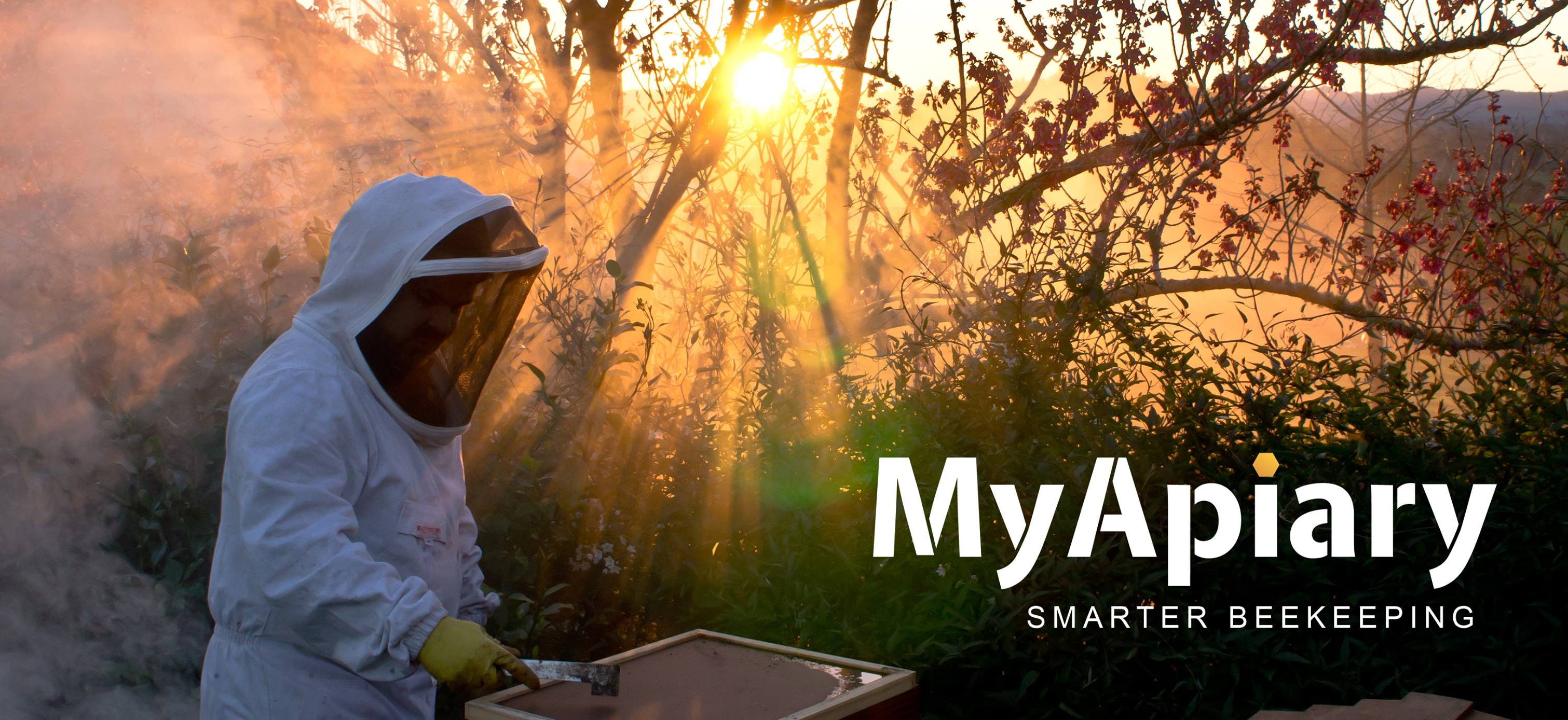 MyApiary | Hive Management & Beekeeping Application