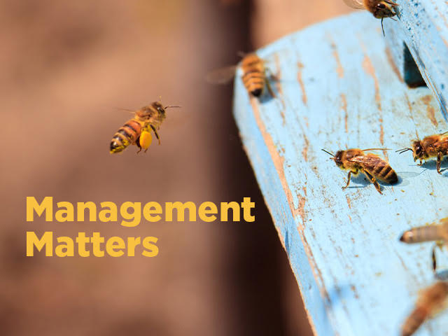 MyApiary Our Success Story | Apiary Management Software